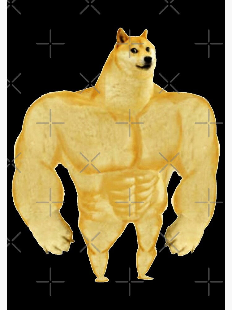 Póster « también conocido como Buff Doge se refiere a una edición ...