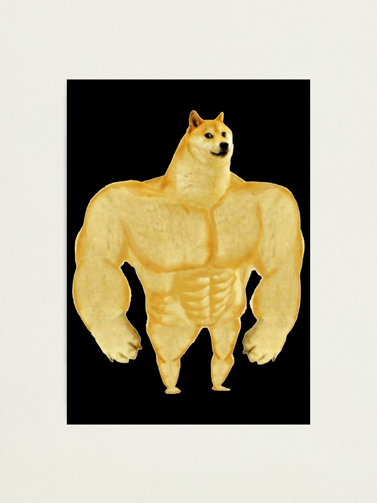Lámina fotográfica « también conocido como Buff Doge se refiere a una ...