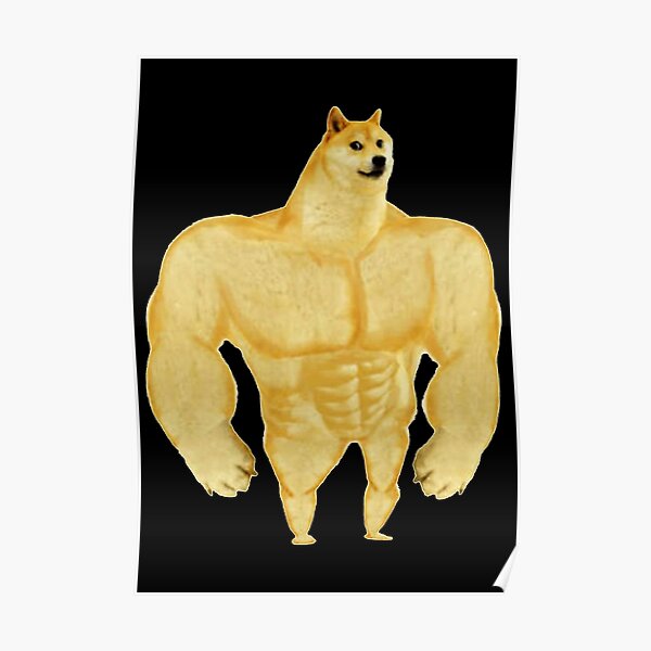 Póster « también conocido como Buff Doge se refiere a una edición ...