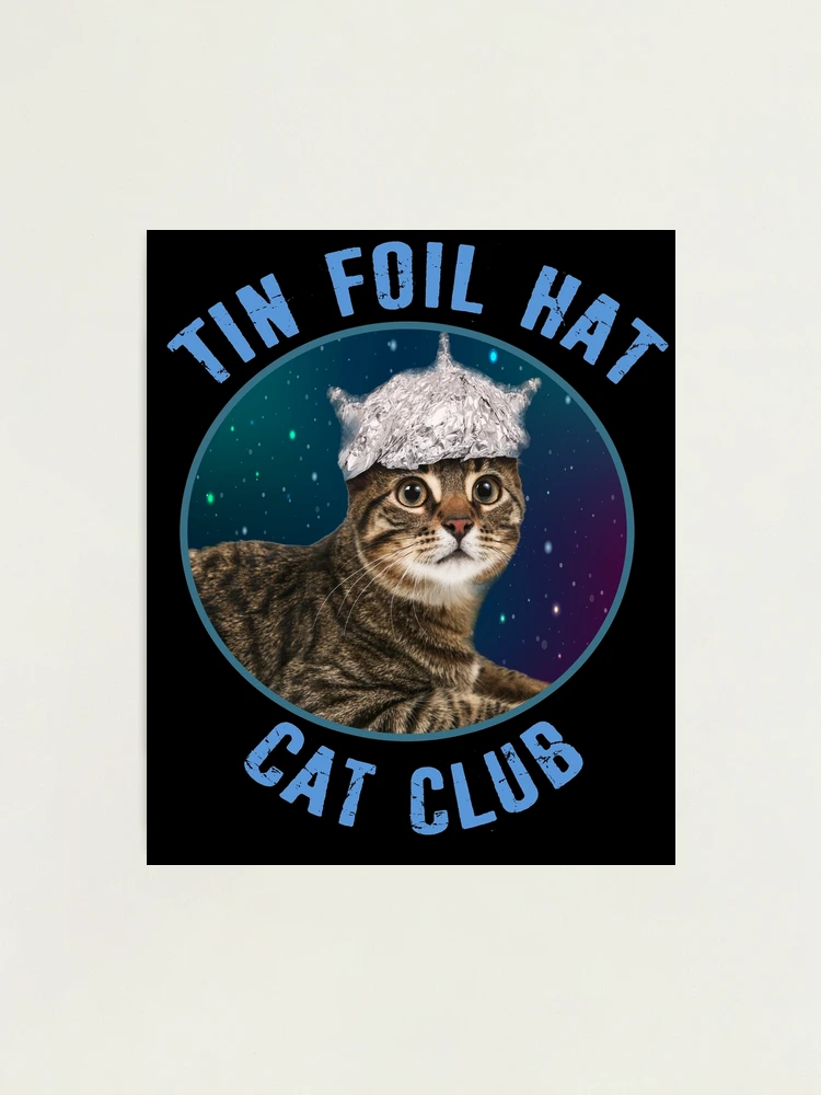 Memes Conspiracy Cat Tin Foil Hat Cat In Space Conspiracy Theory Funny