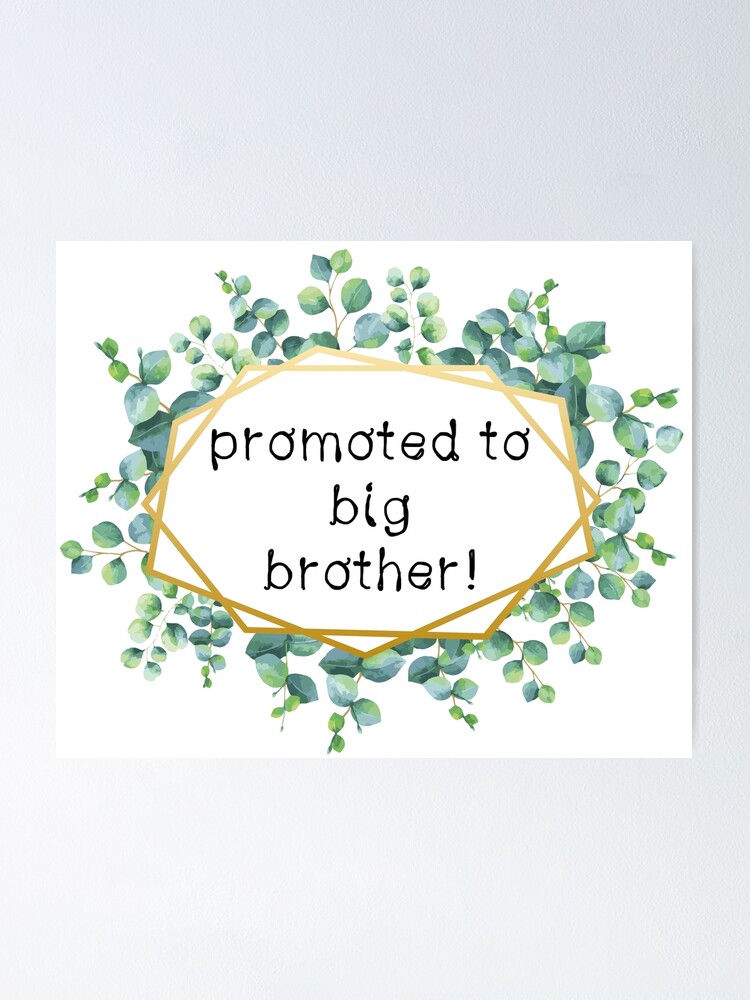 "Promoted to big brother" Poster by CindersRose | Redbubble