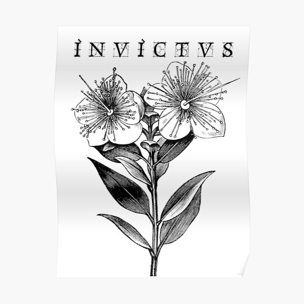 "Invictus" Poster for Sale by Blacklinesw9 | Redbubble