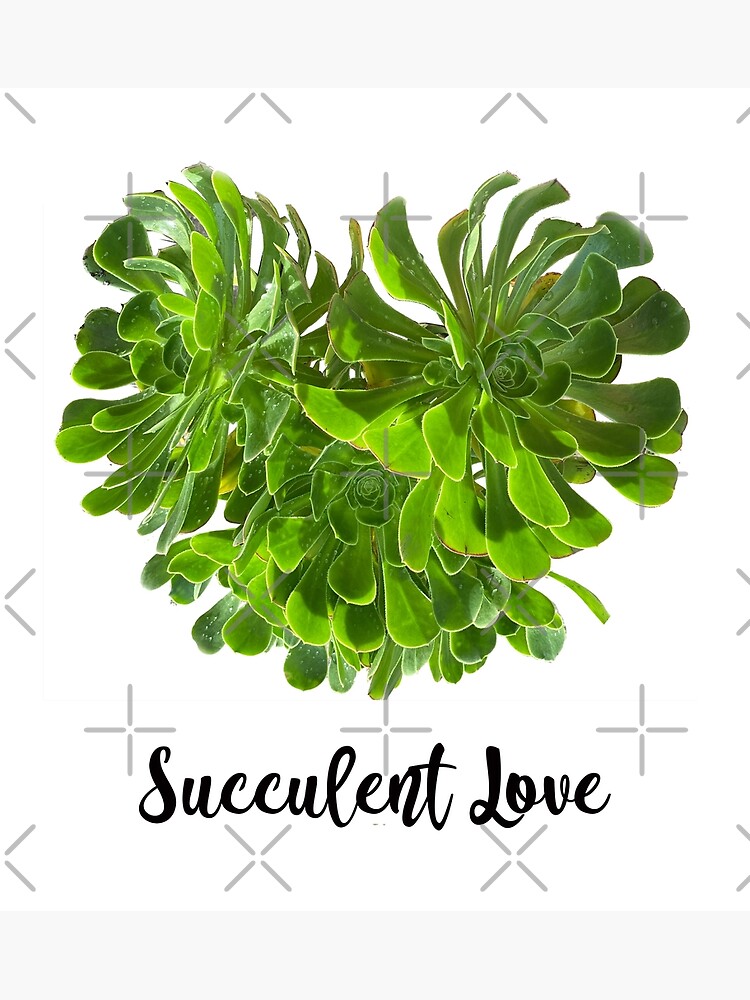 "Succulent Love" Poster by plantbubble | Redbubble