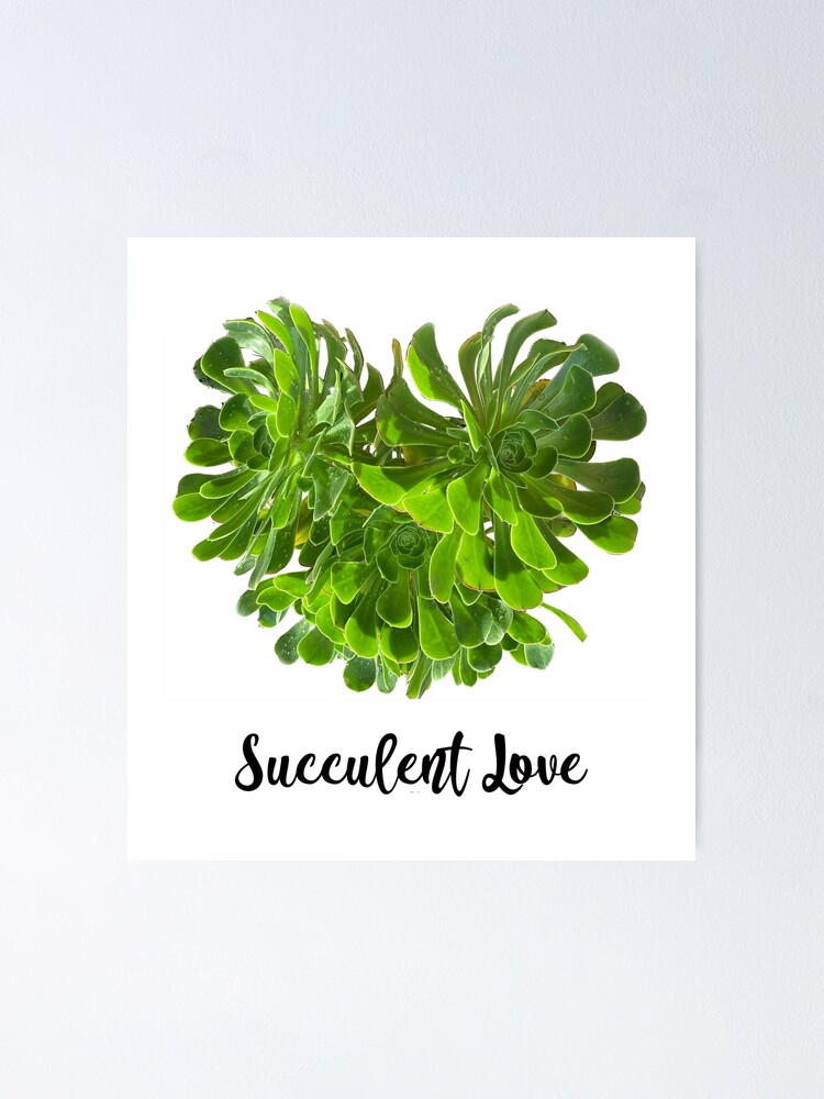 "Succulent Love" Poster by plantbubble | Redbubble