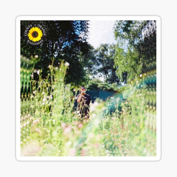 "Rex Orange County - Sunflower Album Cover" Sticker for Sale by ...