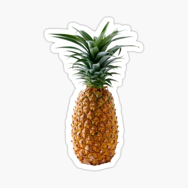 "pineapple" Sticker by ghjura | Redbubble