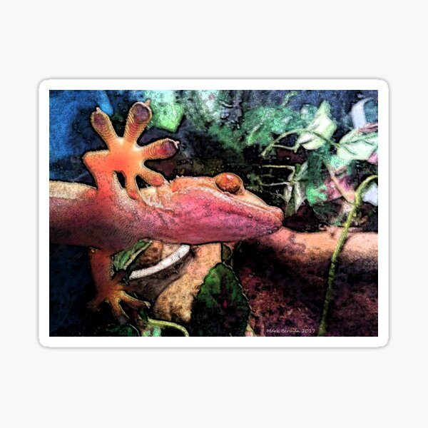 "Gecko Toes" Sticker for Sale by mark-bugs-org | Redbubble