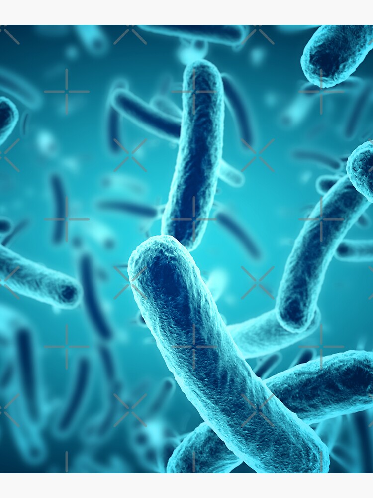 "BACTERIA SLIDE MICROSCOPIC Biology Science Illustration..Microbiology ...