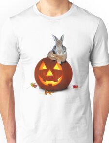 Jack Rabbit: T-Shirts | Redbubble