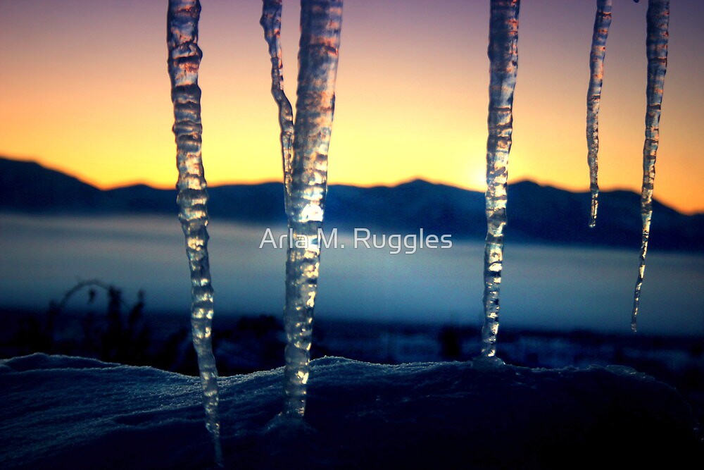 "Prisoner Of Winter" by Arla Ruggles | Redbubble