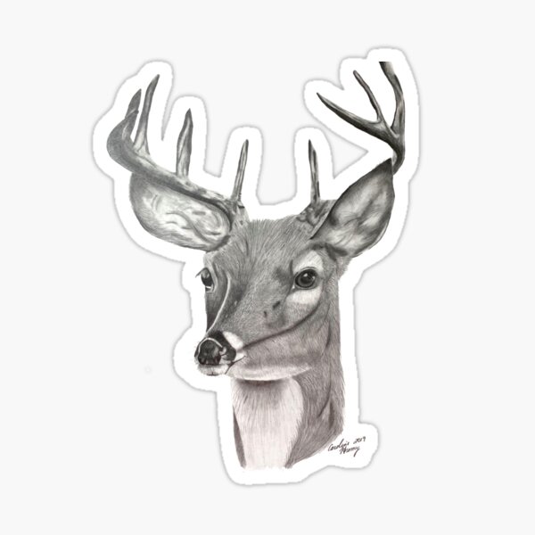 "Deer Head" Sticker for Sale by carolinehromy | Redbubble