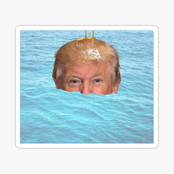 "Seagull Poo & Drumpf OC" Sticker for Sale by sawhorsedvd | Redbubble