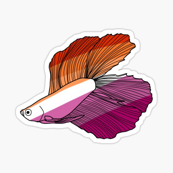 "Lesbian twin tail Betta Fish" Sticker for Sale by GoldfishClub | Redbubble