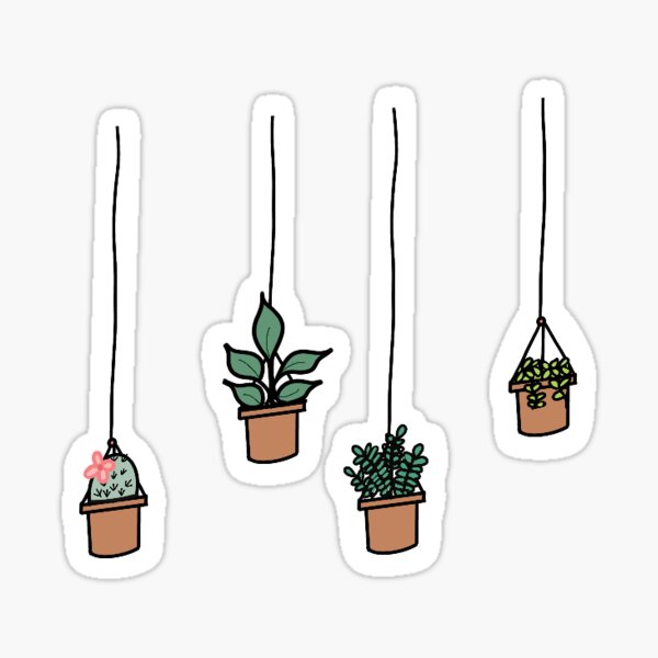 "Hanging plants " Sticker by SophiaGillard | Redbubble