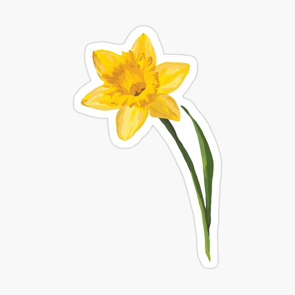 Paper & Party Supplies Blank Cards Floral Birthday Card Printable ...