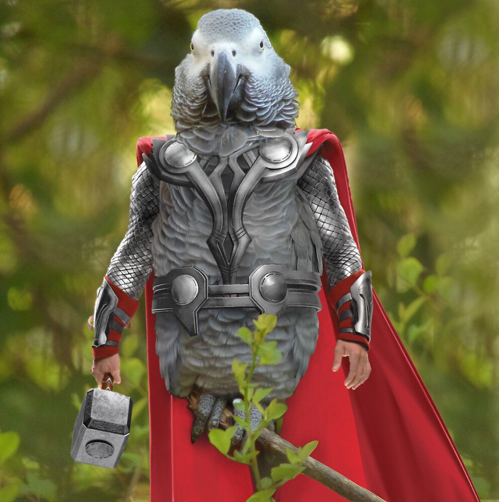 "Grey parrot Thor" by Felfriast | Redbubble