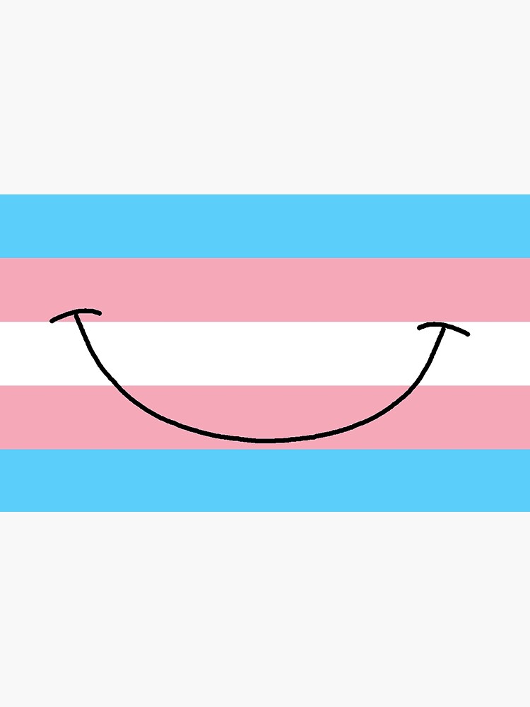 "Trans Pride Smiley Face" Sticker by xandpaper | Redbubble