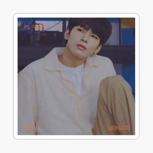 "90s Wonwoo VCR" Sticker for Sale by arthao | Redbubble