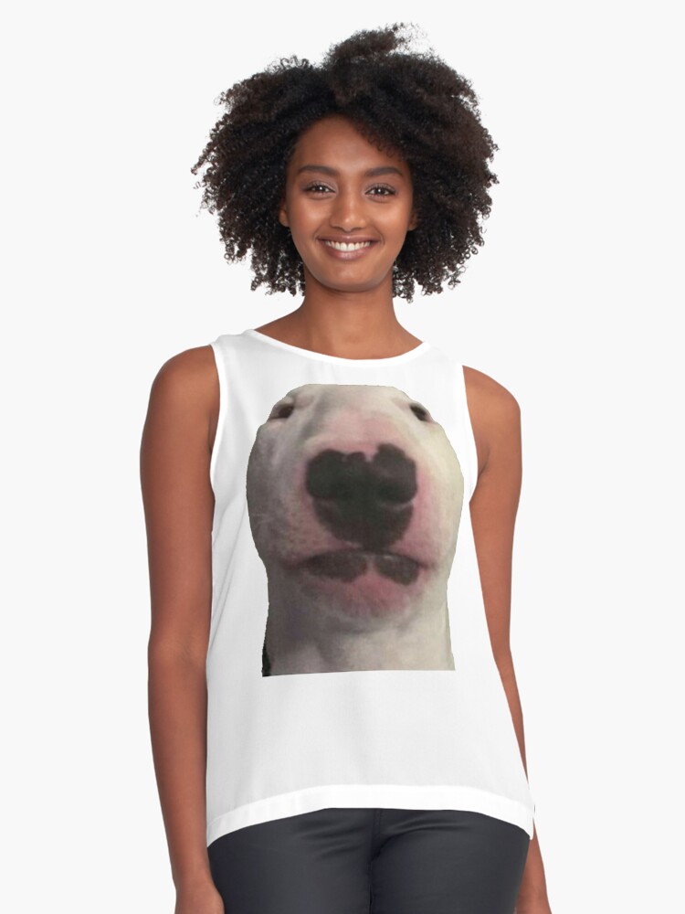 "walter dog meme" Sticker for Sale by wilfshelmerdine | Redbubble