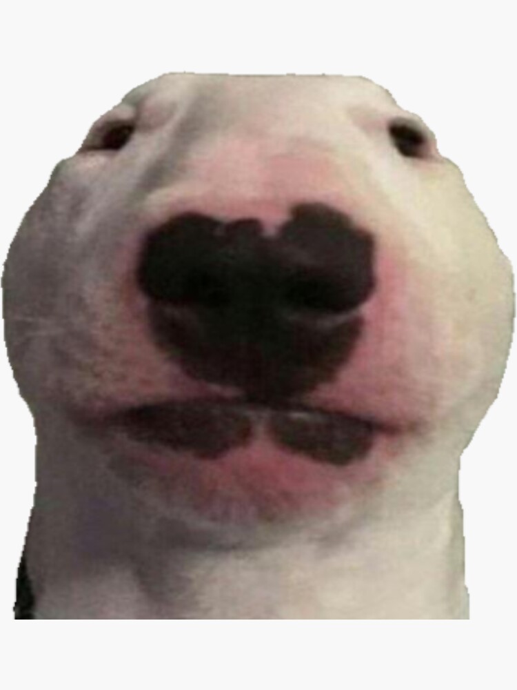 "walter dog meme" Sticker for Sale by wilfshelmerdine | Redbubble
