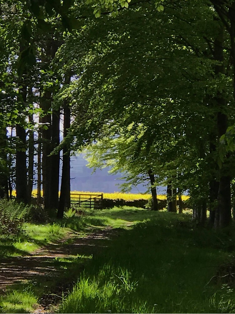 "Lush" Sticker by dimples1al | Redbubble