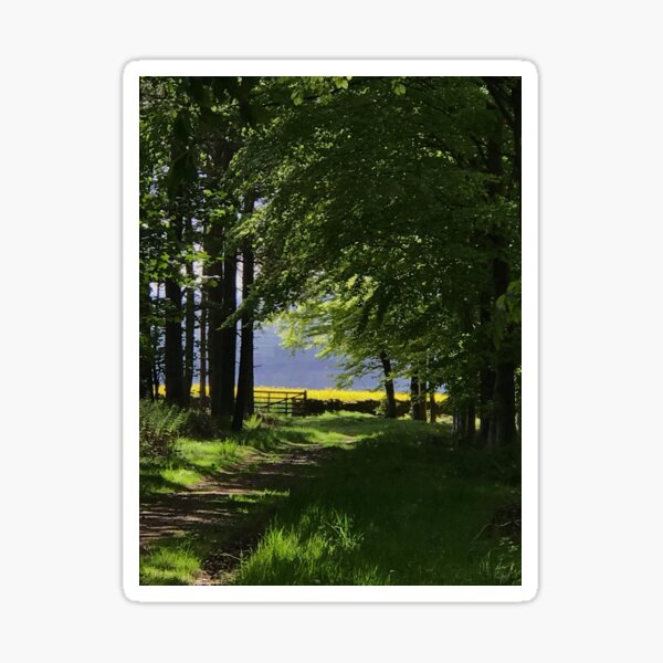 "Lush" Sticker by dimples1al | Redbubble