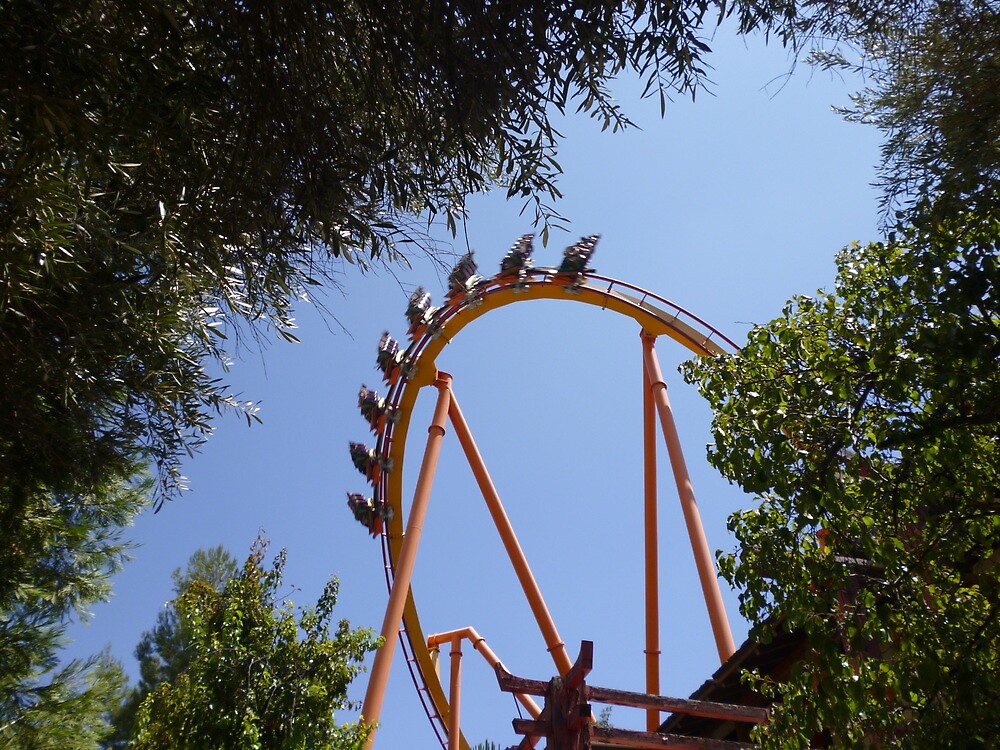 "Tatsu Roller Coaster in the Trees" by MontagnaMagica | Redbubble