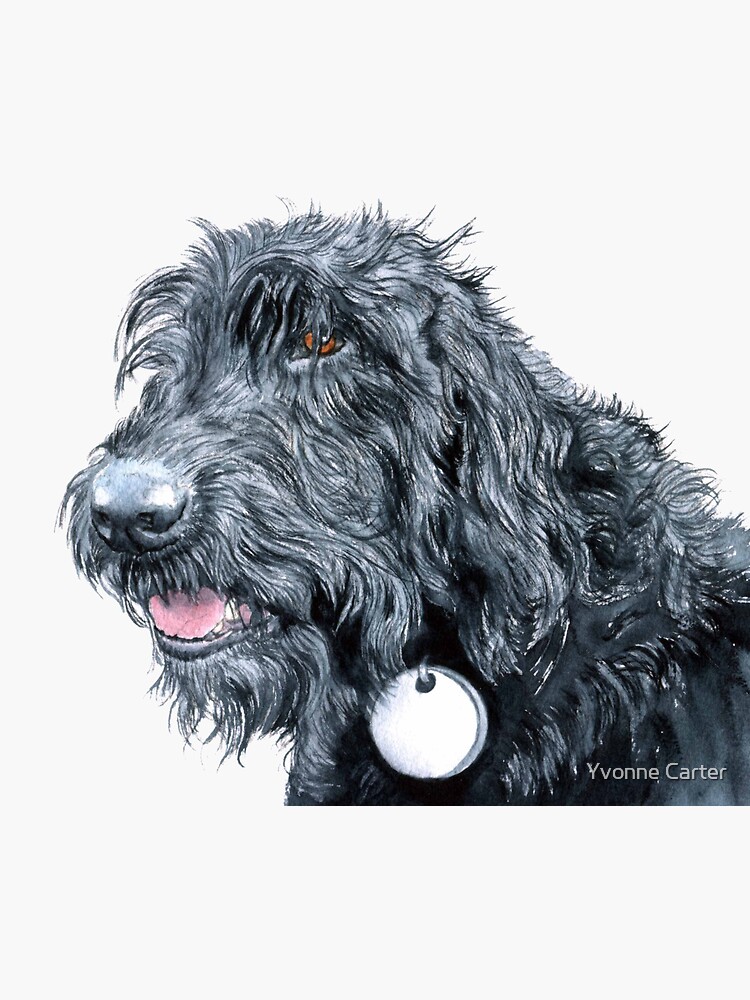 "Black Labradoodle" Sticker for Sale by yvonnecarter | Redbubble