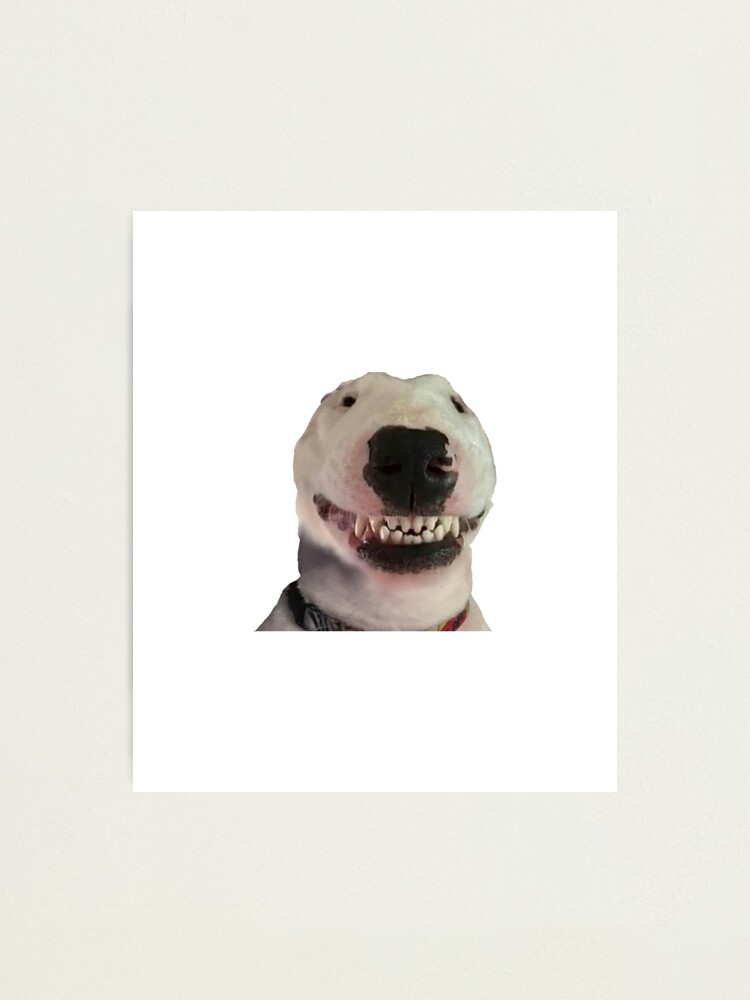 "Walter smiling meme dog" Photographic Print for Sale by Jeangel97 ...