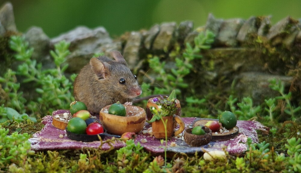 "mouse picnic " by Simon-dell | Redbubble