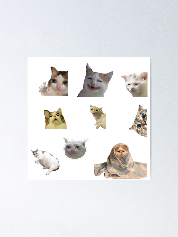 "cat meme sticker pack" Poster by Ariana1414 | Redbubble