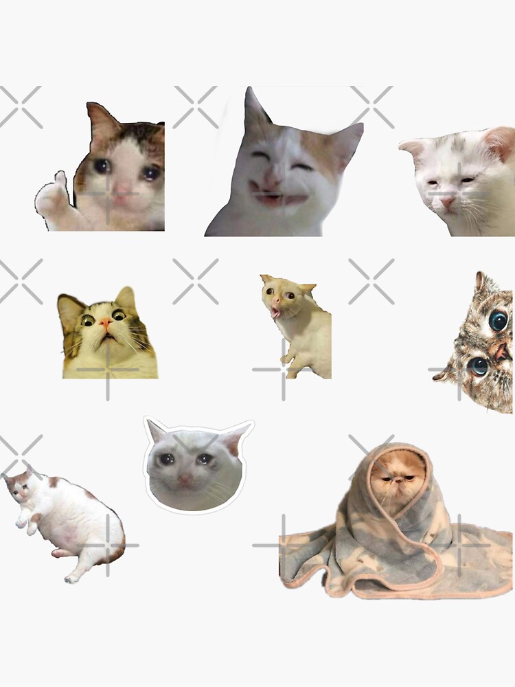 "cat meme sticker pack" Sticker for Sale by Ariana1414 | Redbubble