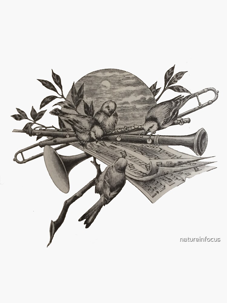 "Vintage Musical Instruments Small Birds with Sheet Music" Sticker by ...