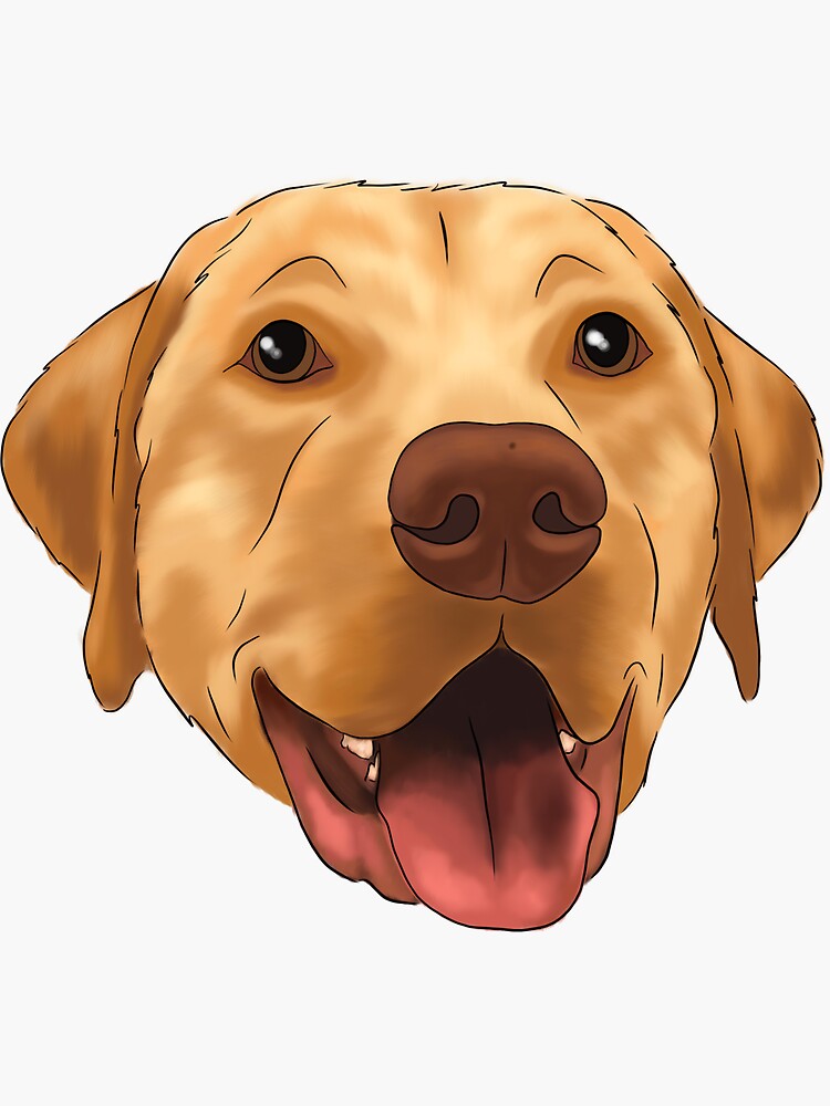 "Yellow Lab Portrait" Sticker for Sale by caitlinshea24 | Redbubble