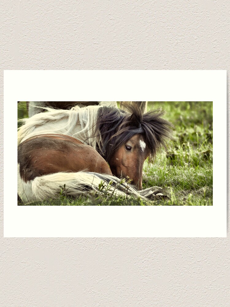 "Splendor in the Grass " Art Print for Sale by Lostbear | Redbubble