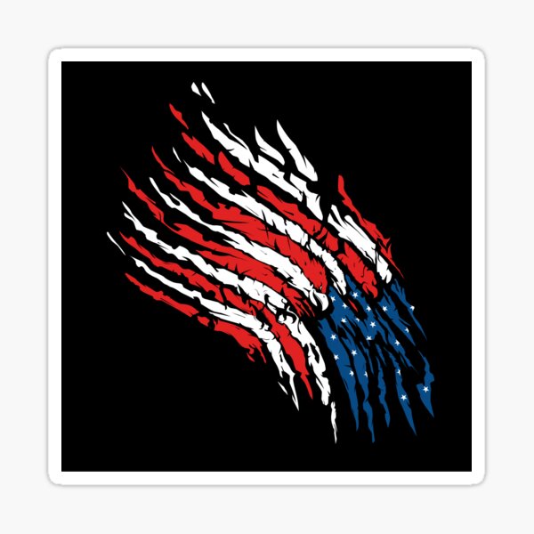 "cool american flag" Sticker for Sale by xenox77 | Redbubble