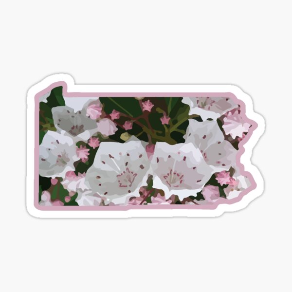 "Pennsylvania Mountain Laurel" Sticker for Sale by alli-j-art | Redbubble
