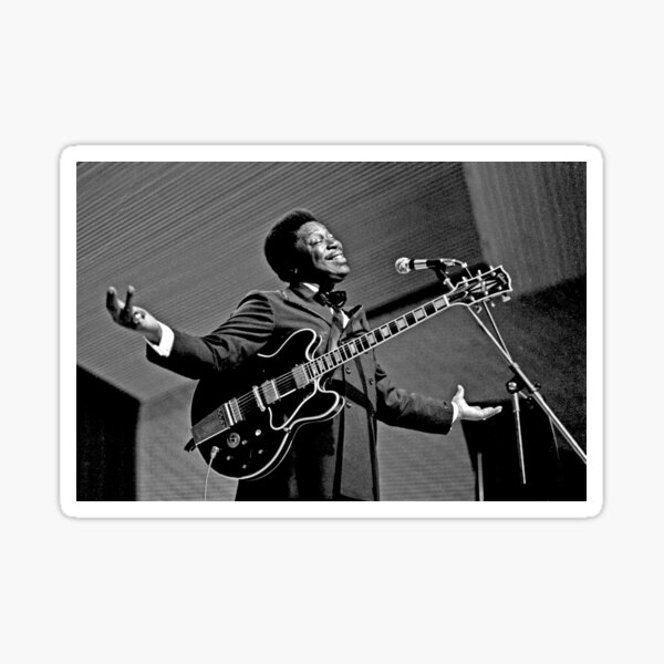 "B B King Portrait" Sticker for Sale by stayfree101 | Redbubble