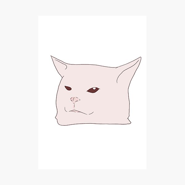 "Perplexed Cat Meme" Photographic Print for Sale by Liauditore | Redbubble