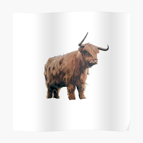 "Color Print of a Yak" Poster by designsasstultd | Redbubble