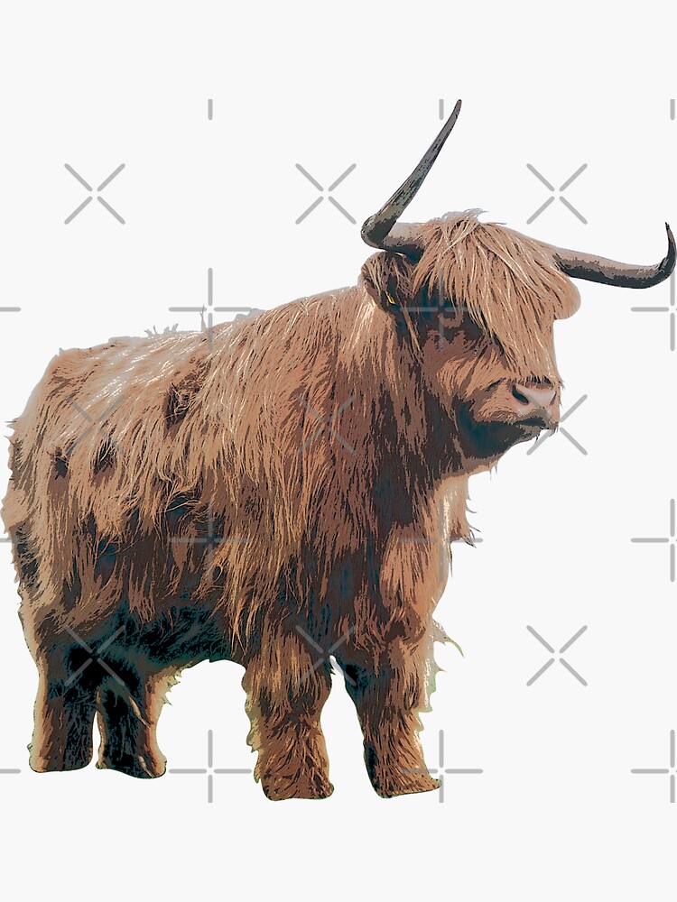 "Color Print of a Yak" Sticker for Sale by designsasstultd | Redbubble