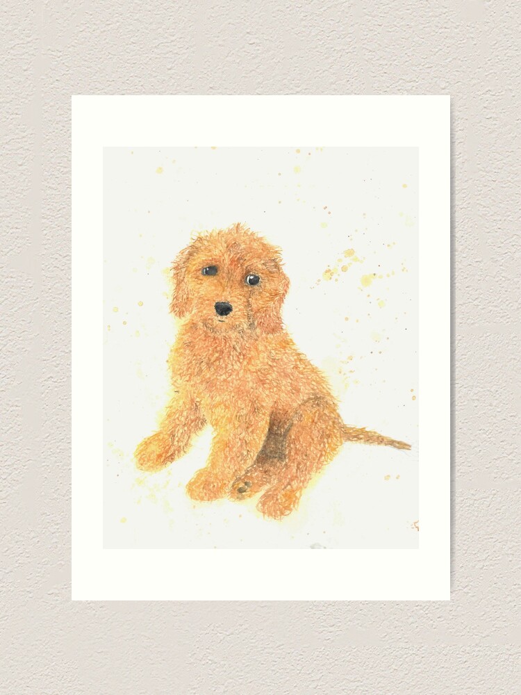 " Red Cockapoo " Art Print for Sale by Worldofcolour | Redbubble