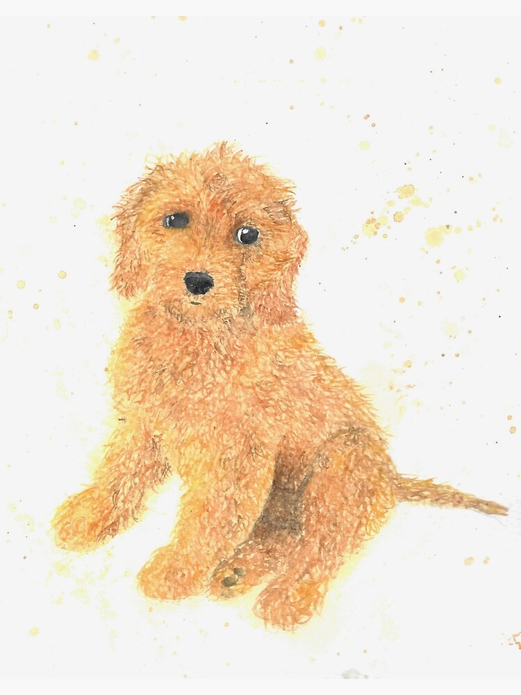 " Red Cockapoo " Art Print for Sale by Worldofcolour | Redbubble