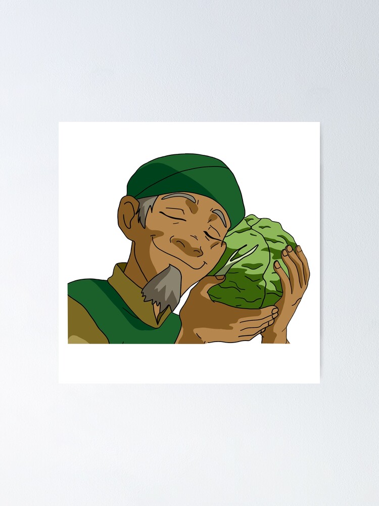 "MY CABBAGES- Avatar the Last Airbender" Poster for Sale by 19azuber ...