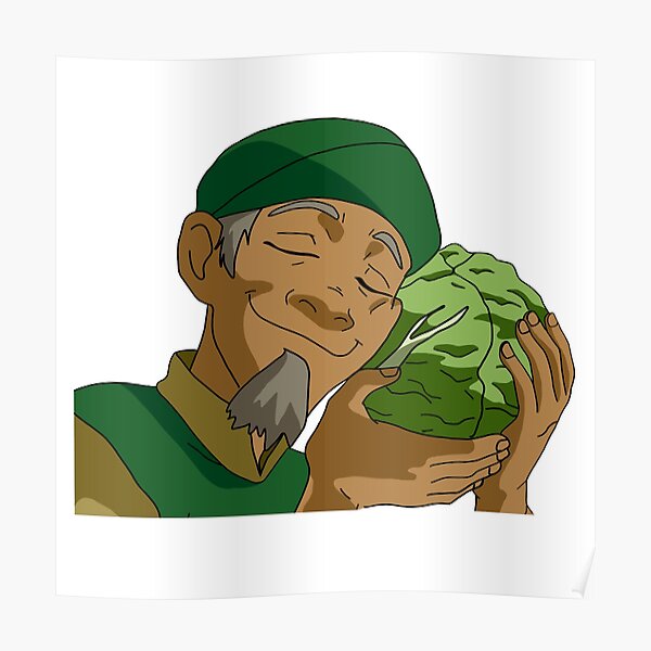 "MY CABBAGES- Avatar the Last Airbender" Poster for Sale by 19azuber ...