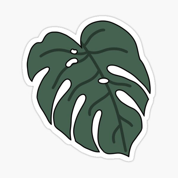 "aesthetic green leaf" Sticker for Sale by kikyscorner | Redbubble