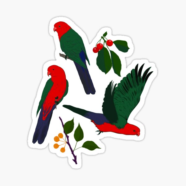 "Parrot Art" Sticker for Sale by tinyart19 | Redbubble