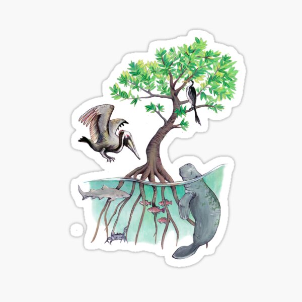 "Mangroves Icon" Sticker for Sale by ind-illustrates | Redbubble