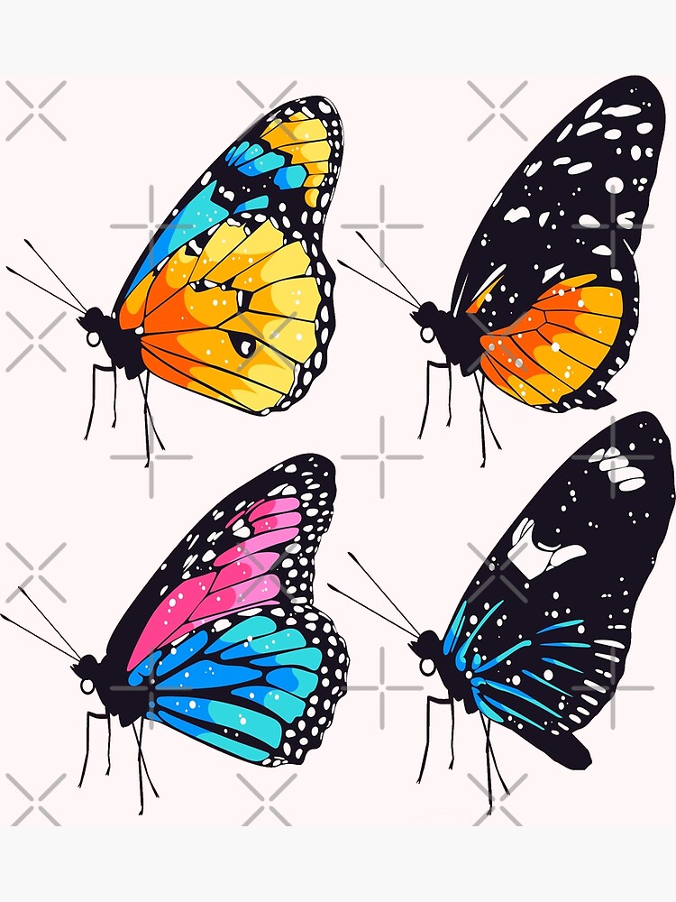 "Butterfly Pack" Poster for Sale by virilamissa | Redbubble
