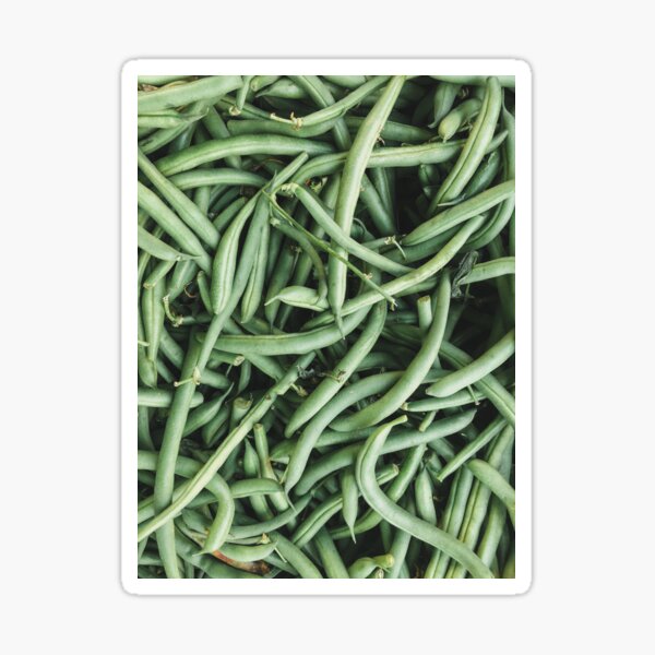 "Pile of green string beans" Sticker by alessas | Redbubble